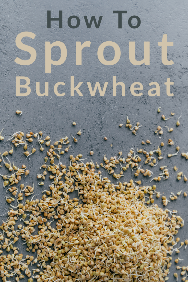 How To Sprout Buckwheat